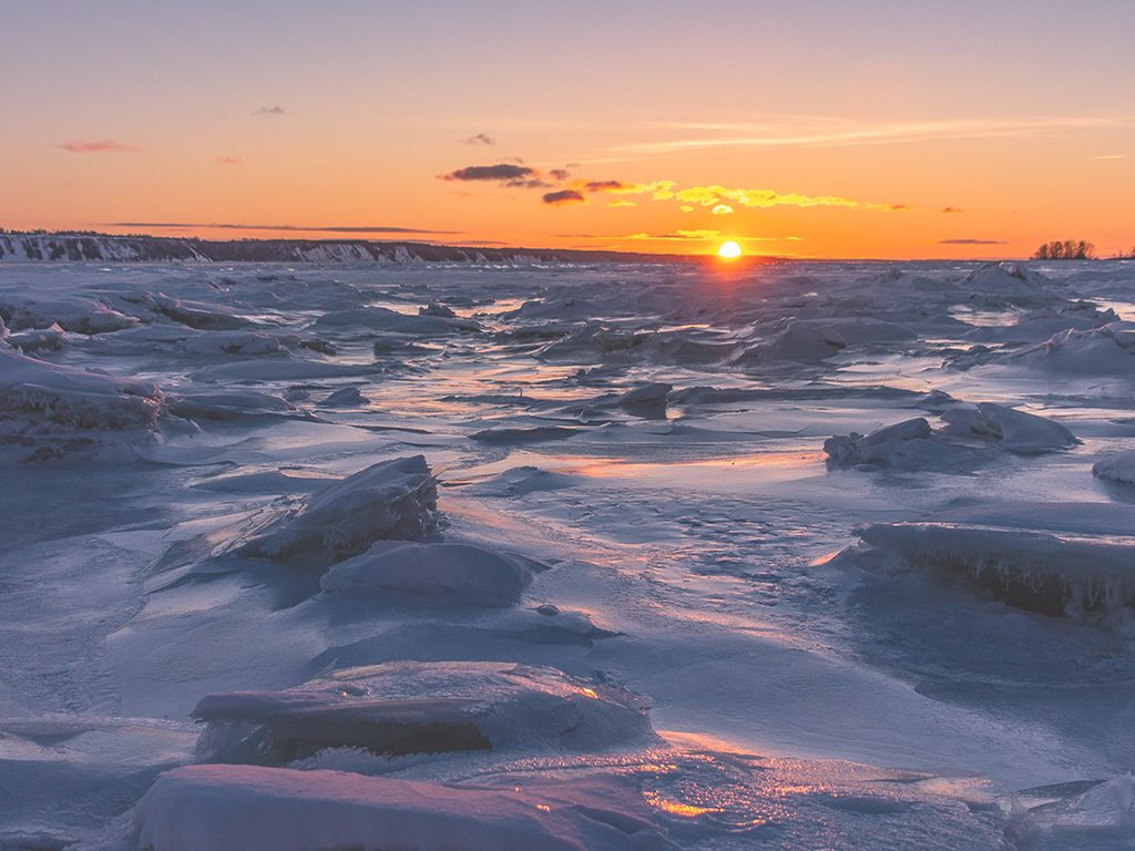 ecosystem – Inrest